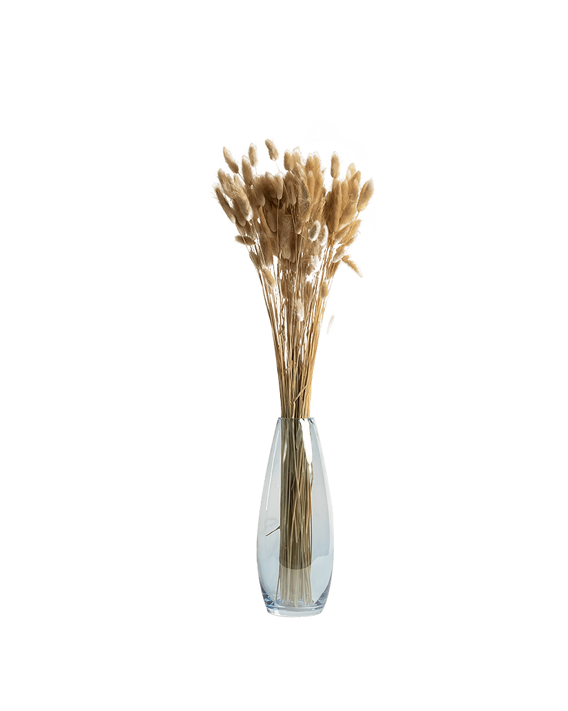 LC- Natural dried lagurus – Maison SIA
