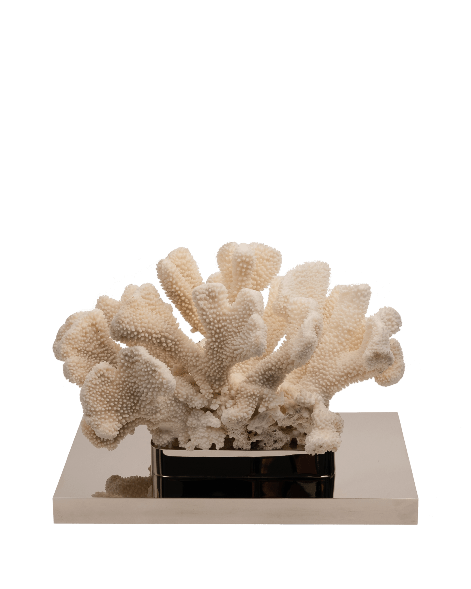 Indulge in Ethical Luxury with Petri's Coral Reef Table Sculpture - A ...