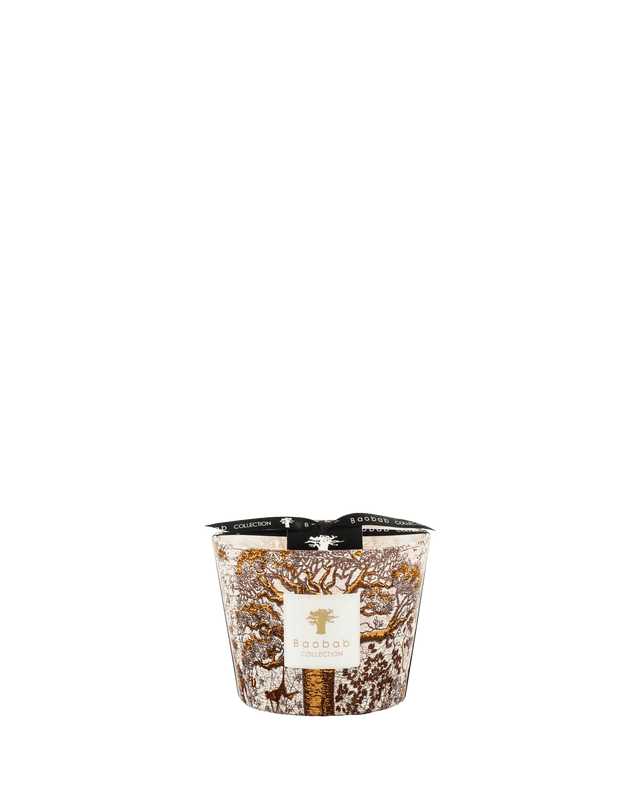 Sacred Tree Dualla Candle by Baobab - A Masterpiece of African Elegance ...