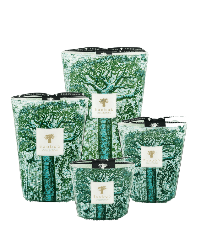 Sacred Trees Kamalo Candle – Tropical Elegance by Baobab – Maison SIA