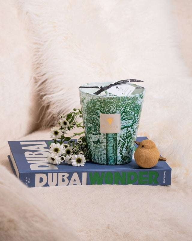 Baobab Sacred Trees Kamalo Candle Max 16 - Tropical Elegance in Hand ...