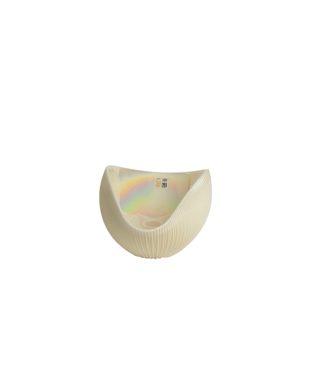 Discover the Elegance of Yalos Murano's Shell Mono Small Ivory Bowl ...