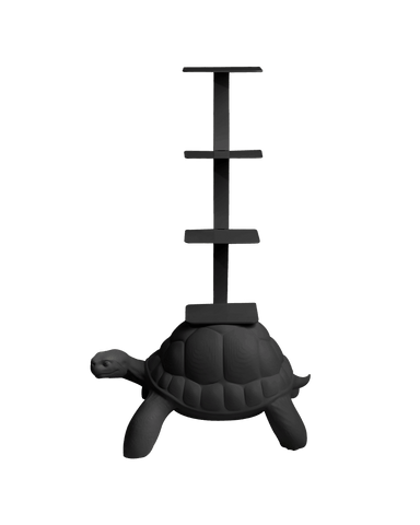 Elevate Your Home with Our Turtle Carry Bookshelf - Shop Now – Maison SIA