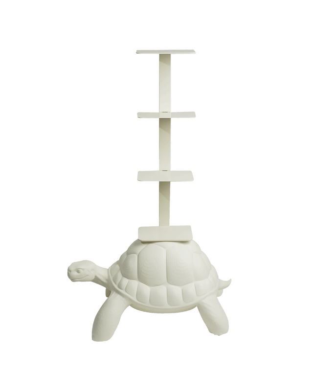Transform Your Reading Space with the Turtle Carry Bookshelf - Only at ...